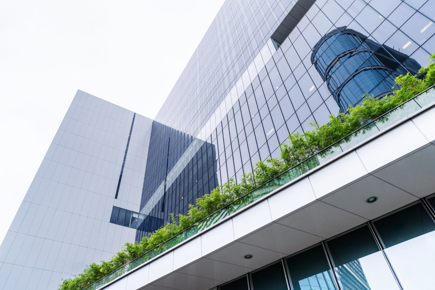 How to Achieve your ESG Goals through Green Building