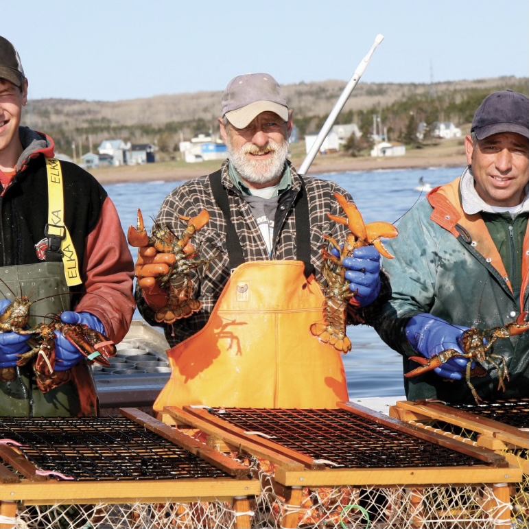 Vehicle counting with X-Telia: Optimizing traffic management