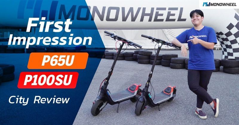 Segway KickScooter P100SU