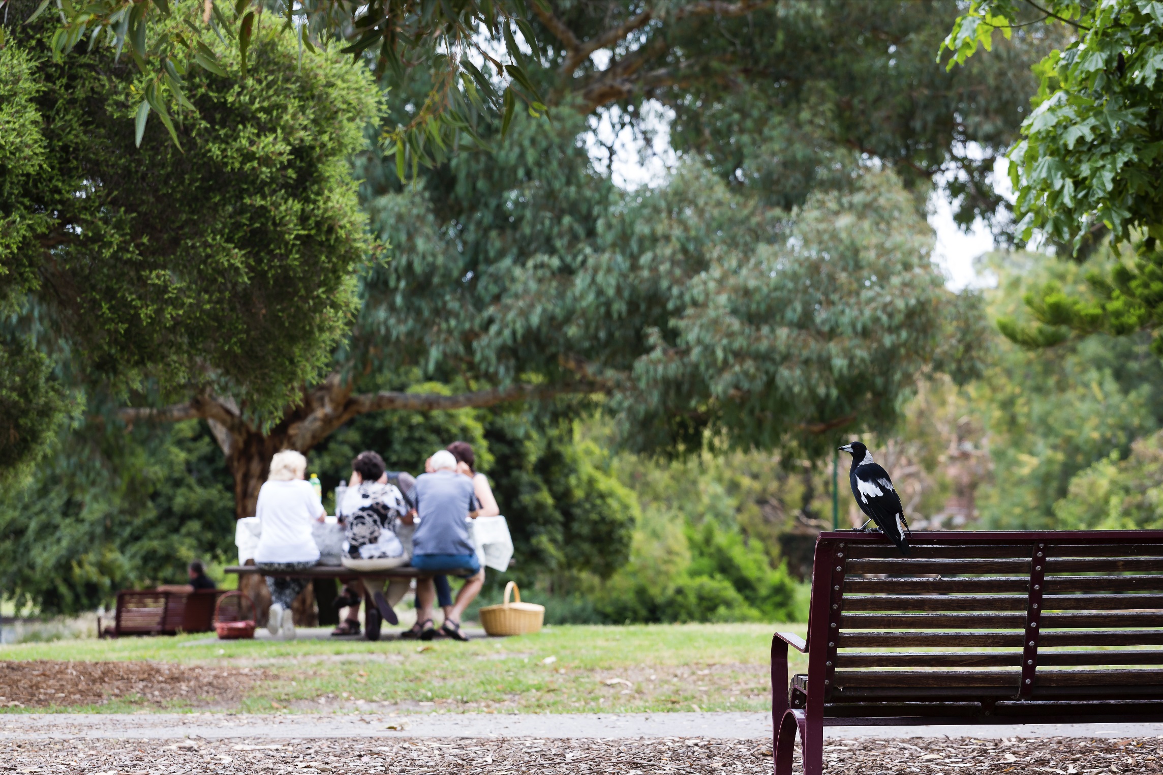Welcome To The Neighbourhood: Bentleigh East - AUV Real Estate