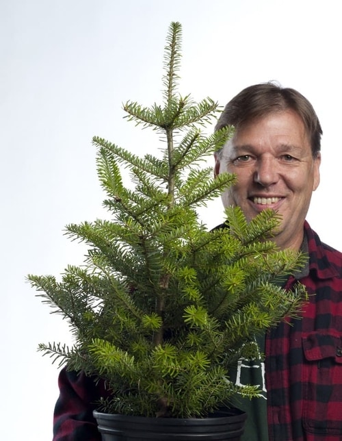 Emmerich Tree Farm - The Real Christmas Tree Experience