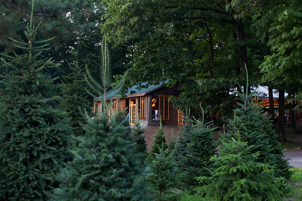 Emmerich Tree Farm - The Real Christmas Tree Experience