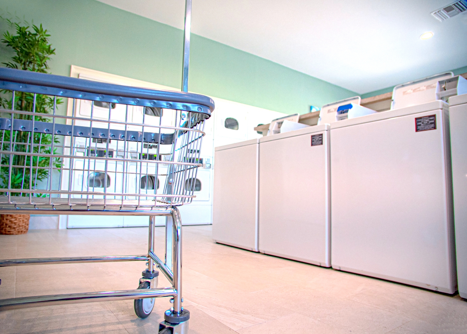 Oak Alley RV Resort | Gallery