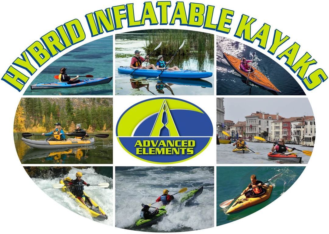 Diplomatic Card - Belgium