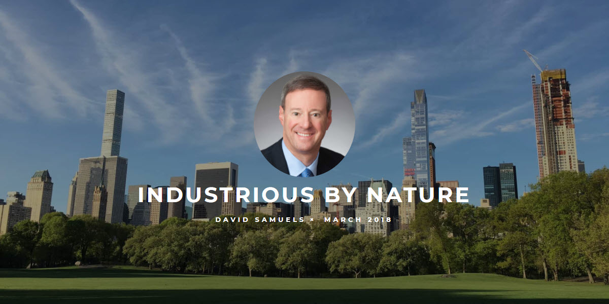 David Samuels: Industrious by Nature | Profiles in Success