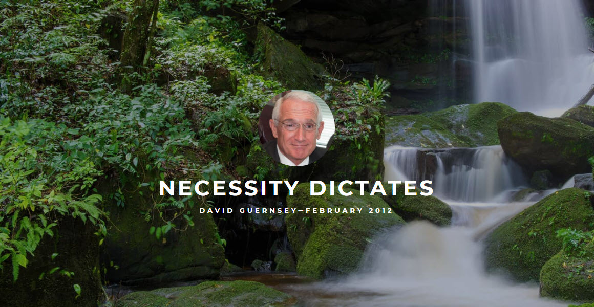 David Guernsey: Necessity Dictates | Profiles in Success