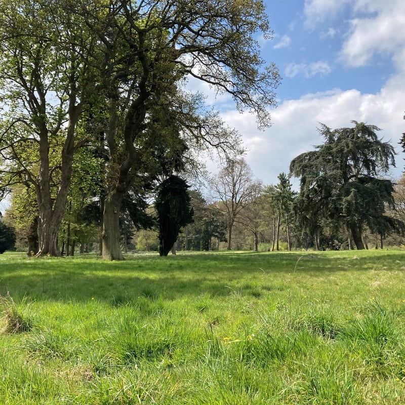 Impney Estate | Realising a sustainable future for the Impney Estate