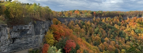 Mohawk Hudson Land Conservancy