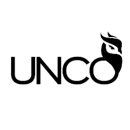 Chanelle Stander - Webflow