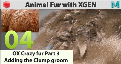 Introduction to Xgen