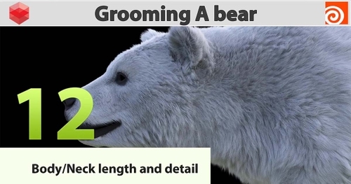 Course series | Jesus FC