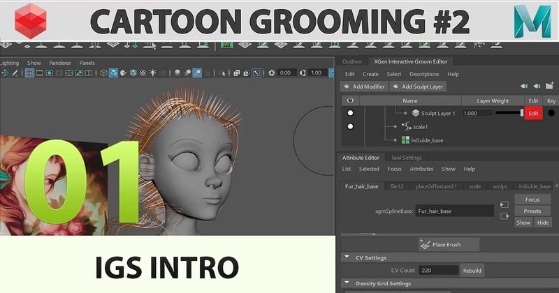 Introduction to Xgen
