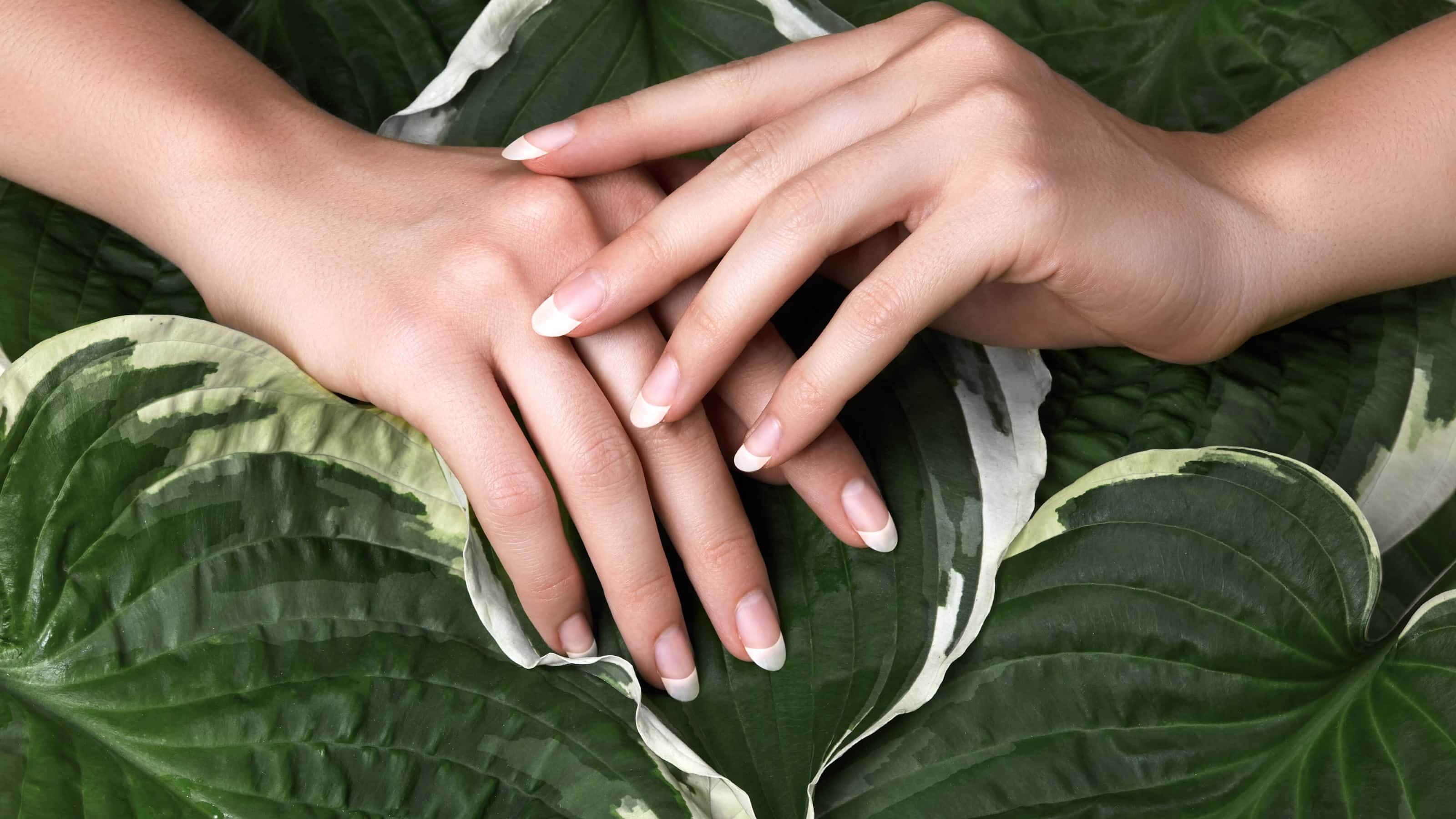 Nails by Toe Bro | Premium Health & Beauty Nail Salon