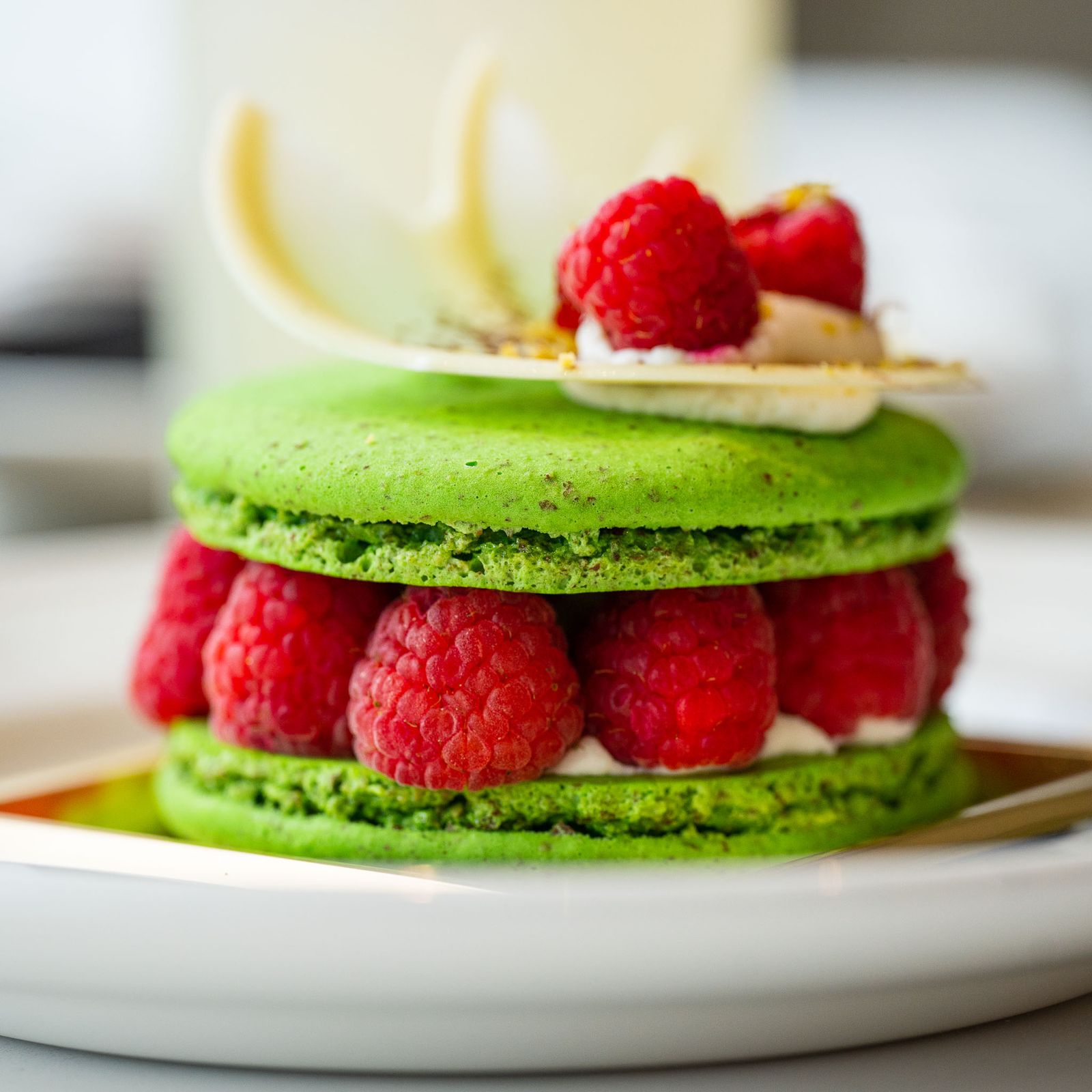 Explore Our Gallery | The Great Commoner