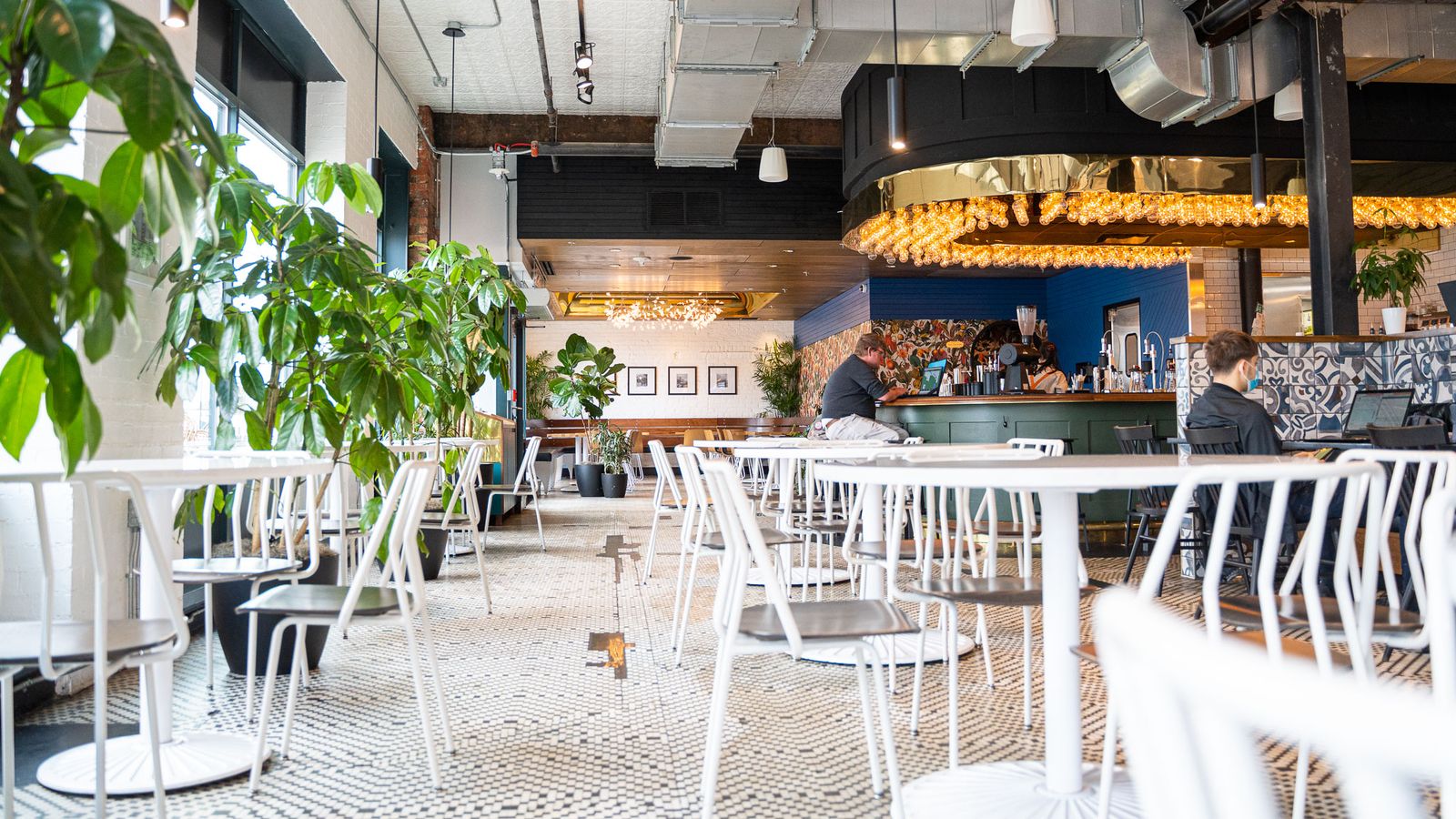 Explore Our Gallery | The Great Commoner