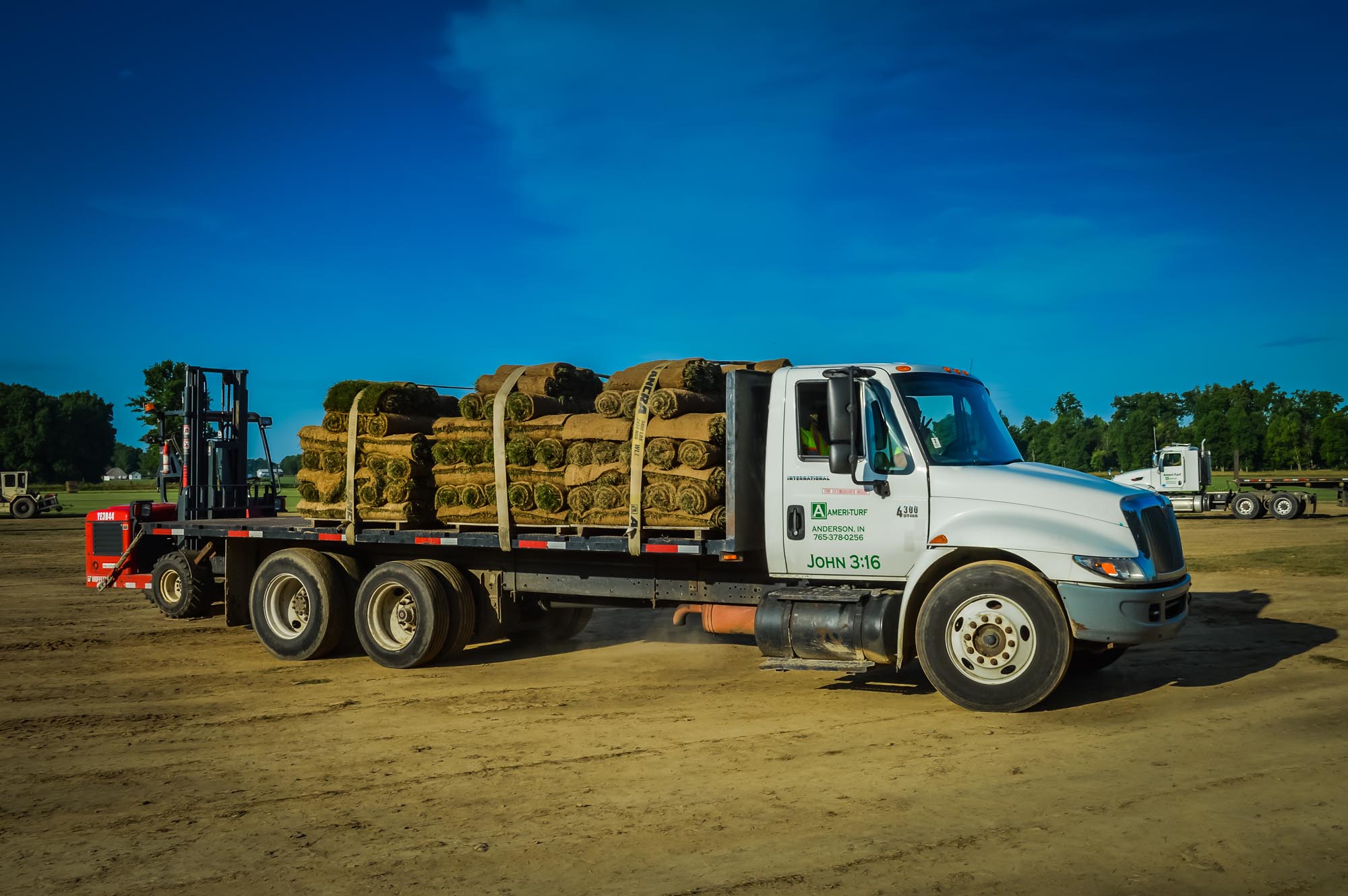 Our Sod | Ameri-Turf Sod and Landscape Supply