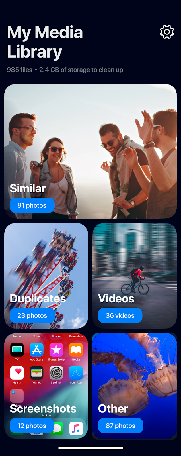 5 Ways to Clean Up Your iPhone Photo Gallery (2021 Update)