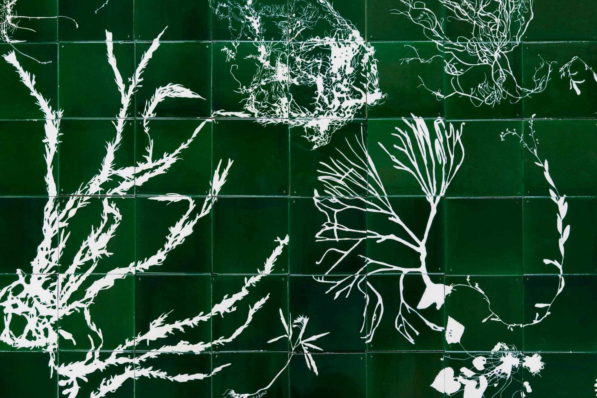 Botanical Tiles