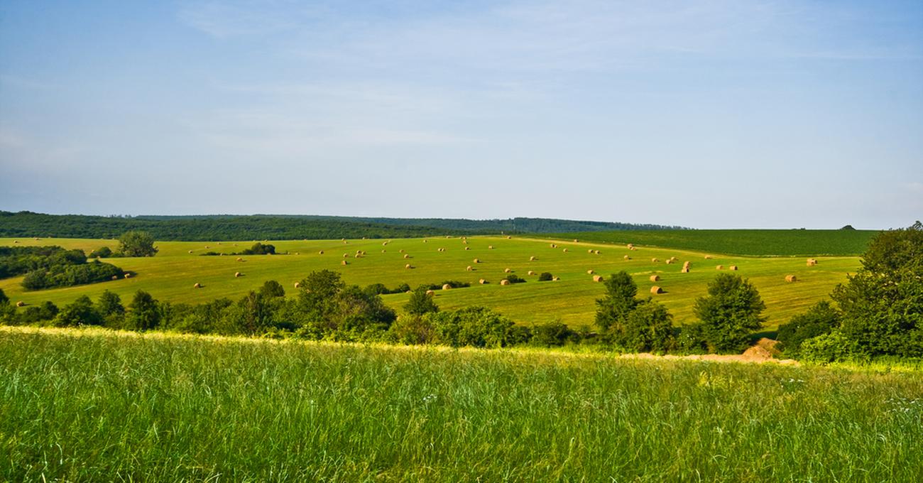 How Big Is 10 Acres Of Land AskBAMLand How Big Is 10 Acres Of Land AskBAMLand