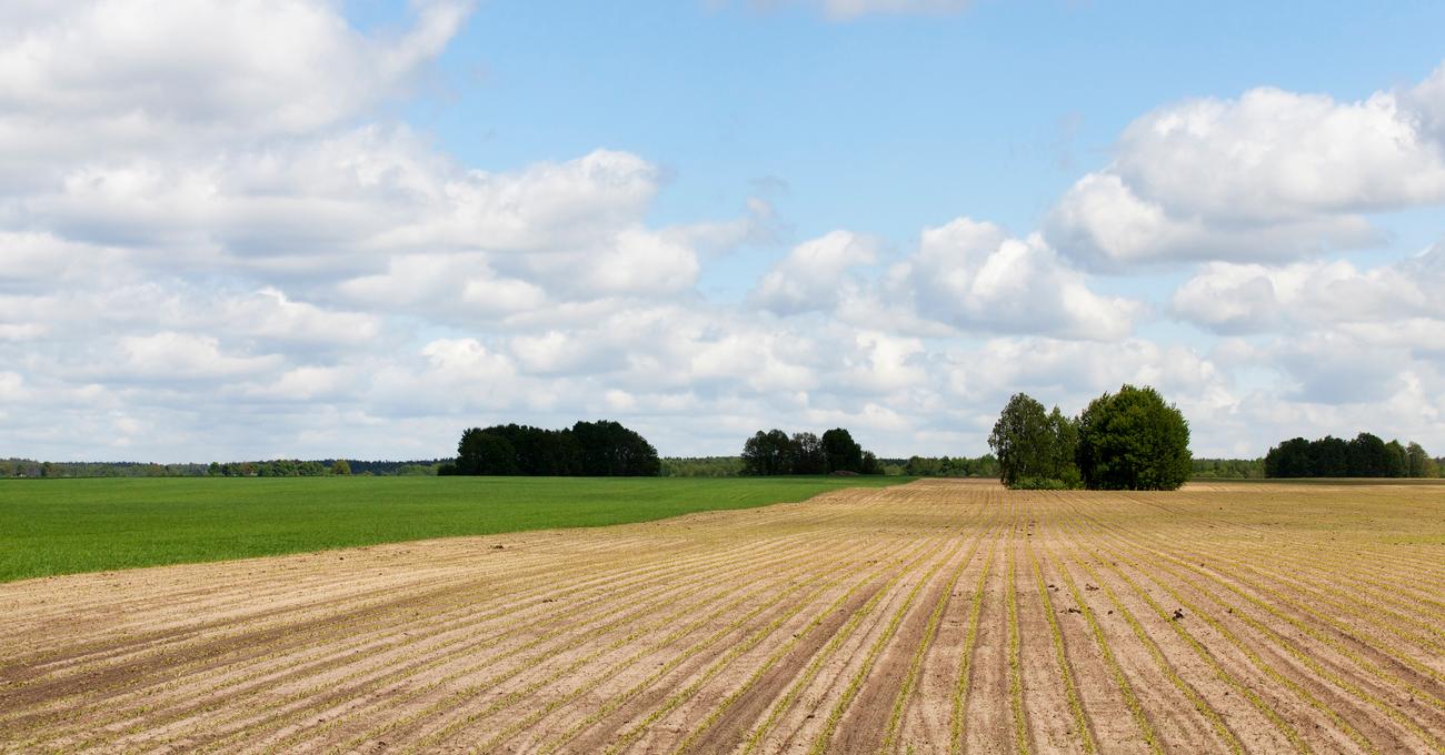 How To Make Money With Raw Land | askBAMLand