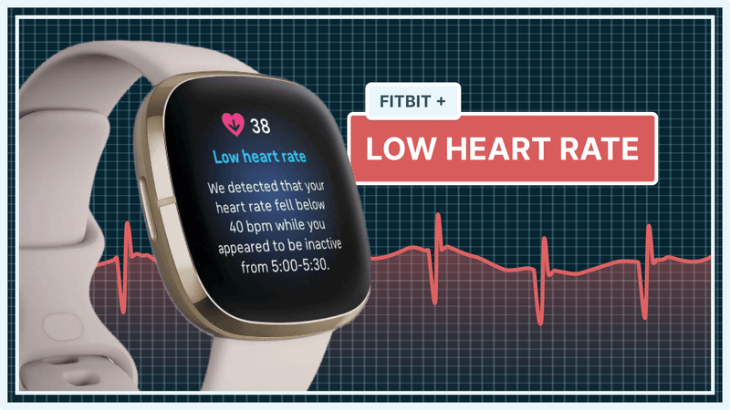 QALY What Does Low Heart Rate Mean On A Fitbit ECG qaly-what-does-low-heart-rate-mean-on-a-fitbit-ecg