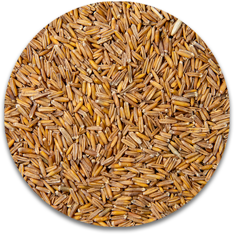 Artisan Grain Collaborative