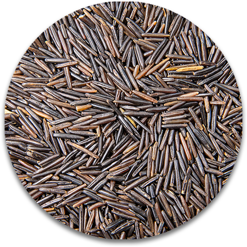 Artisan Grain Collaborative