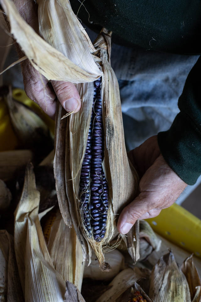 Artisan Grain Collaborative