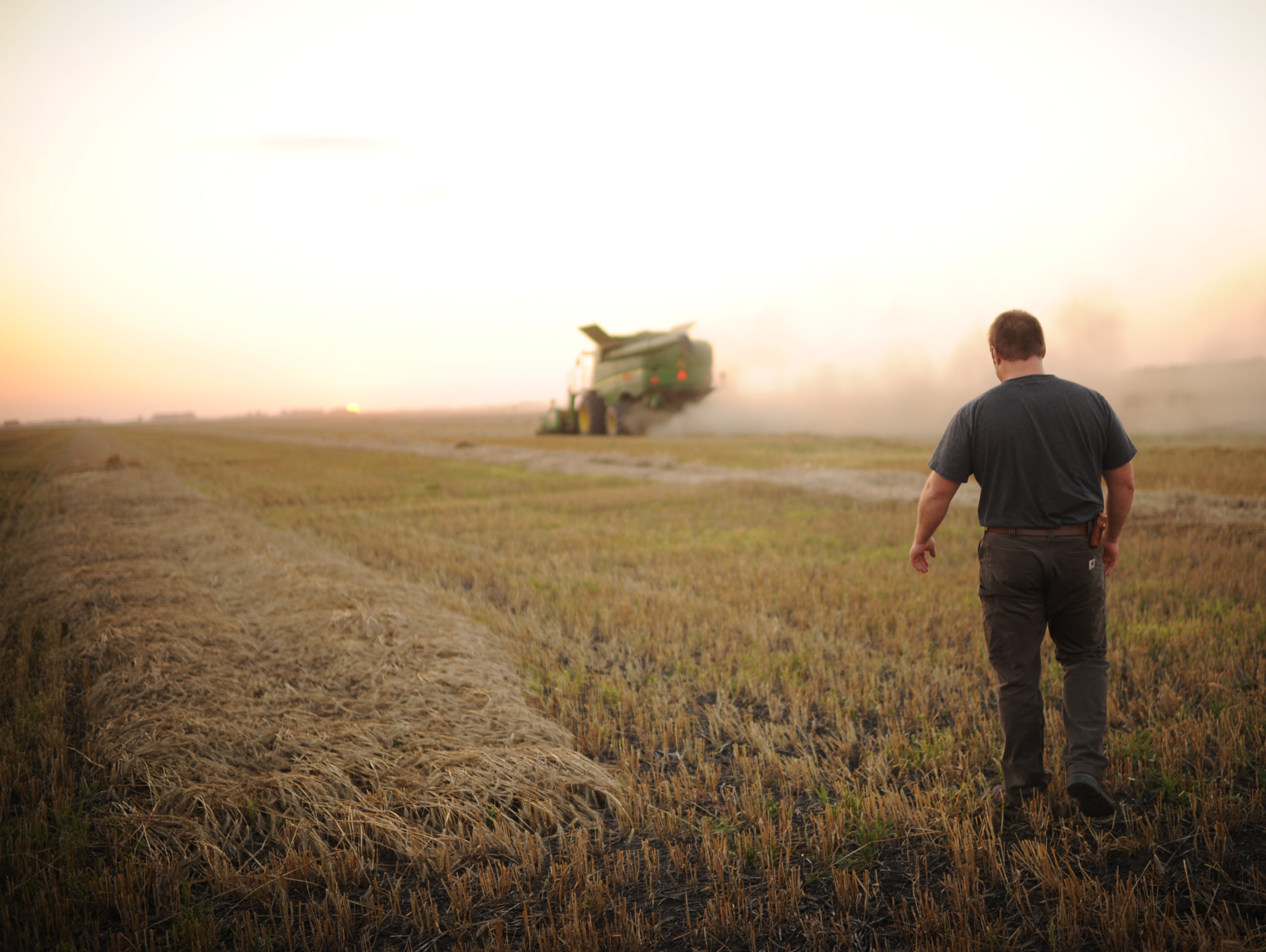 Artisan Grain Collaborative