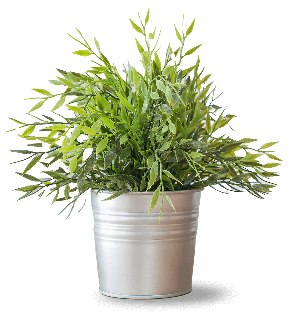 We're Cooleaf | Top Rated Employee Engagement & Experience Solution