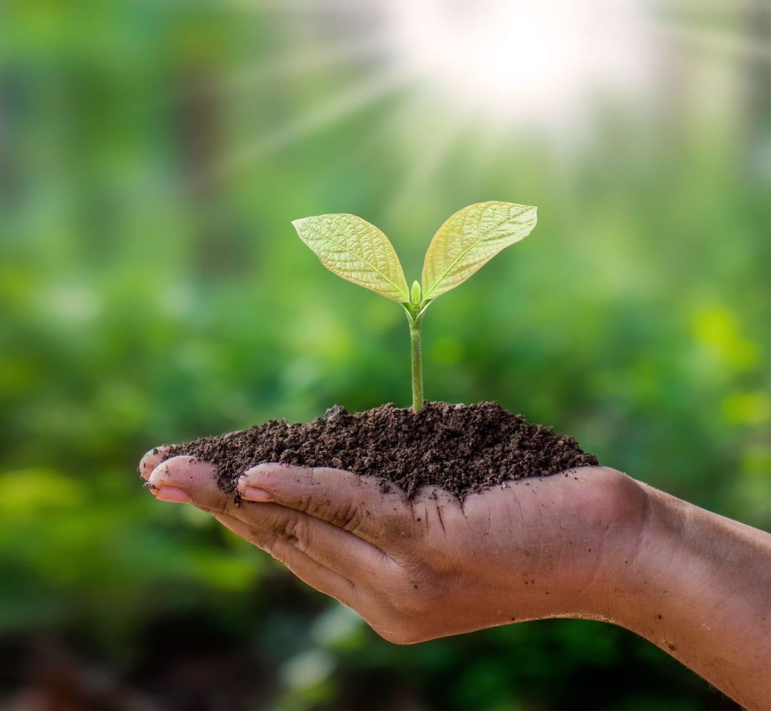 15 Ways to Make Your Workplace Culture More Eco-Friendly | Cooleaf