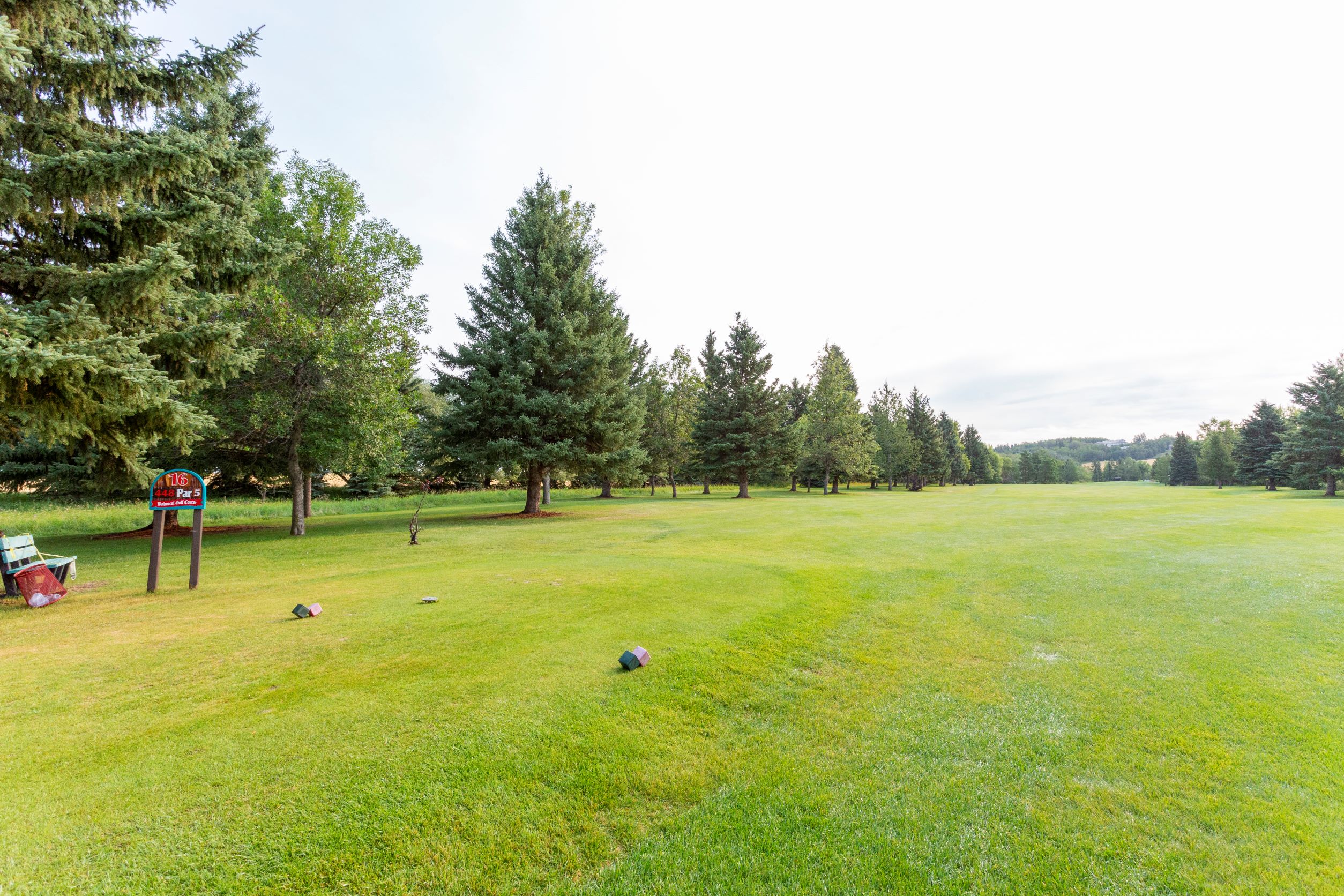 Membership Spotlight | Balmoral Golf Course - Tourism Red Deer ...