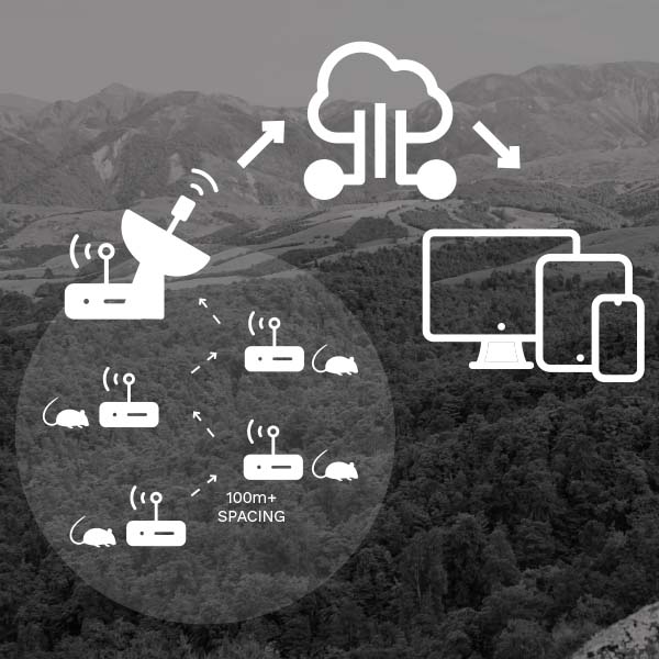 Home | Critter Solutions