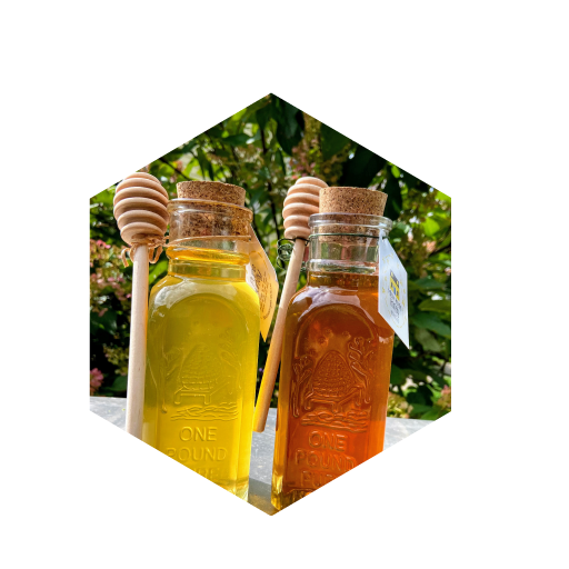 Yellow House Honey - A Backyard Apiary in Hamden, CT