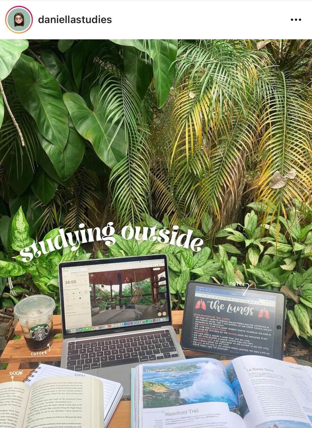 LifeAt: Your immersive workspace for task management & deep focus