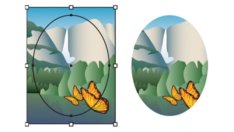 Earn Your Illustrator Certification - Adobe Certified Professional