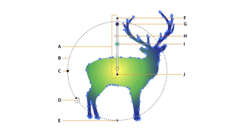 Earn Your Illustrator Certification - Adobe Certified Professional