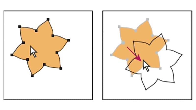 Adobe Certified Professional: Illustrator