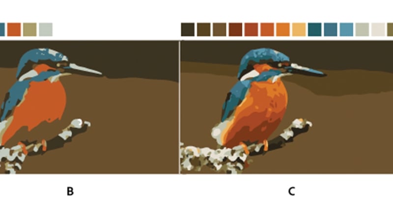 Earn Your Illustrator Certification - Adobe Certified Professional