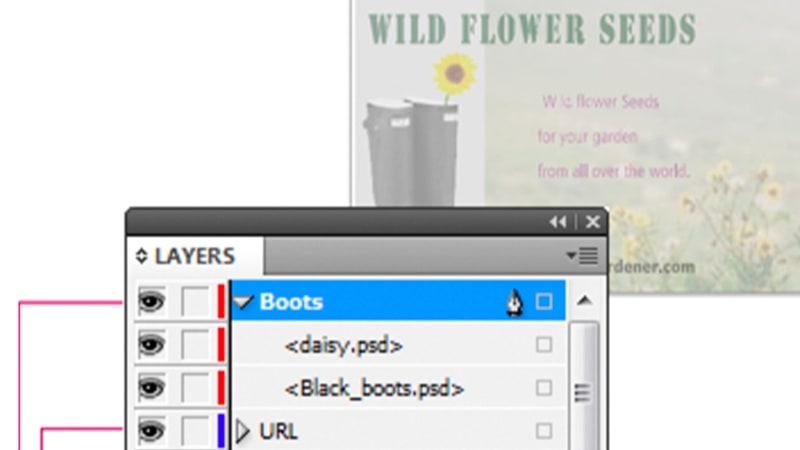 Become InDesign Certified - Adobe Certified Professional