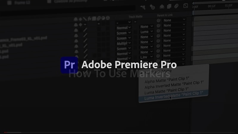 Adobe Certified Professional: Premiere Pro