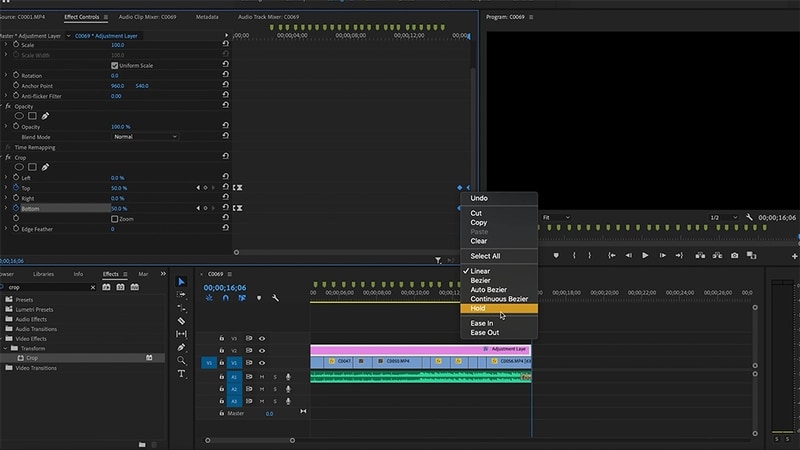 Adobe Certified Professional: Premiere Pro