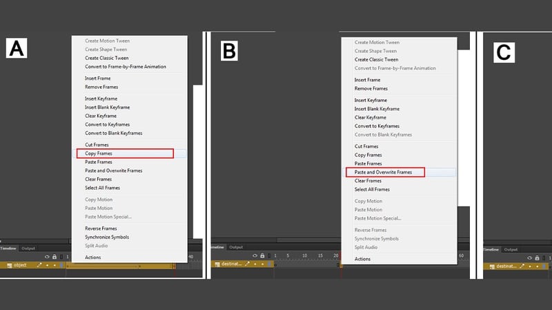 Earn Your Animate Certification - Adobe Certified Professional