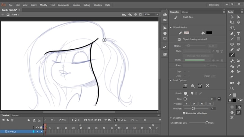 Earn Your Animate Certification - Adobe Certified Professional