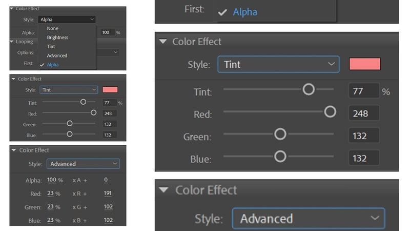 Earn Your Animate Certification - Adobe Certified Professional