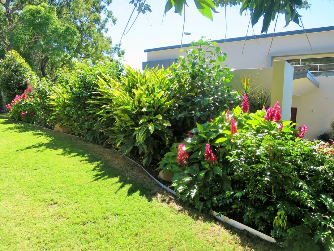 Megan Roe Landscape Design