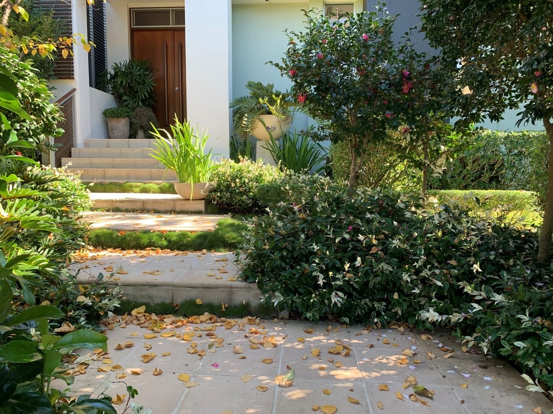 Megan Roe Landscape Design