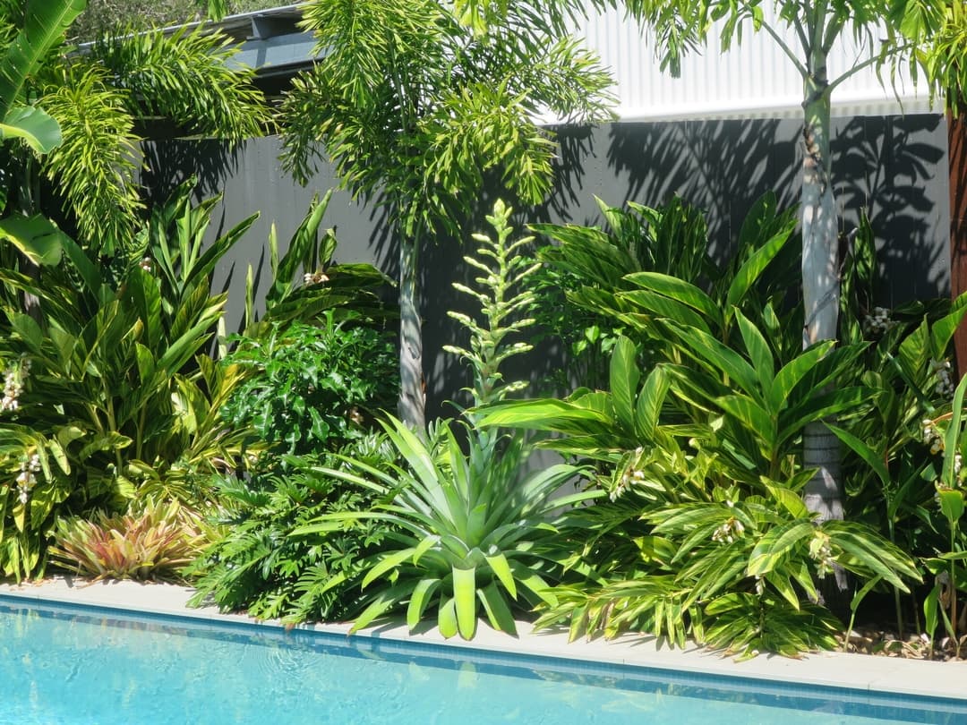 Megan Roe Landscape Design