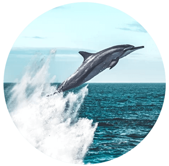 Help spread OceanHero