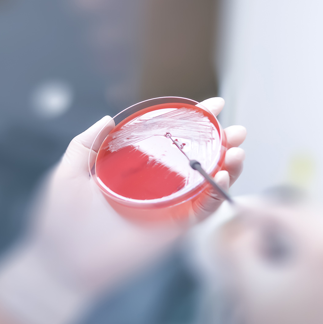 Our Program - Australian Pathogen Genomics Program